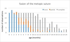 anatomie et croissance du crâne : sutures et fontanelles ...